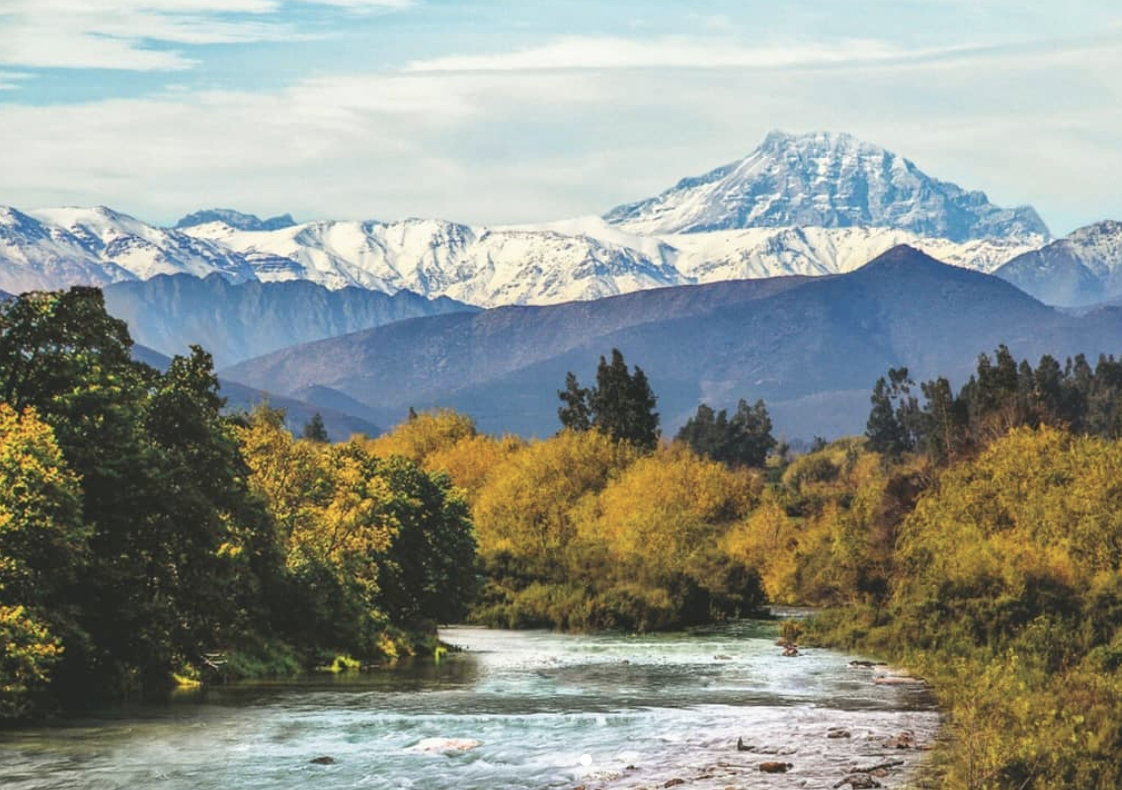 Viña Errázuriz siirtynyt Hedonin riveihin | Hedon